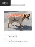 ARLAMOL HD LQ (RB) EM00516 - Product Information Dossier | PDF ...