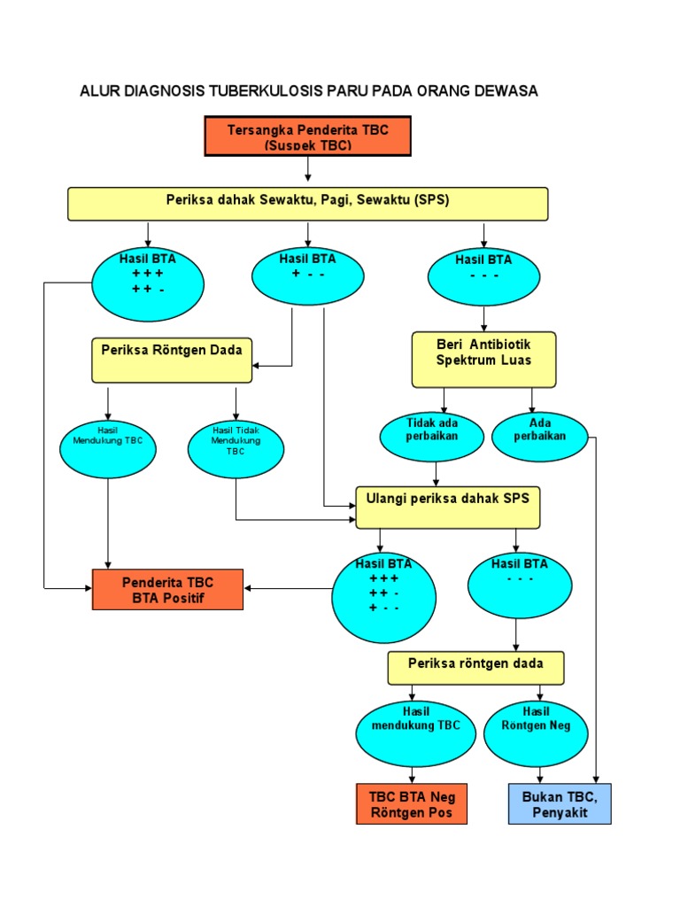 Alur Diagnosis Tuberkulosis Paru Pada Orang Dewasa | PDF