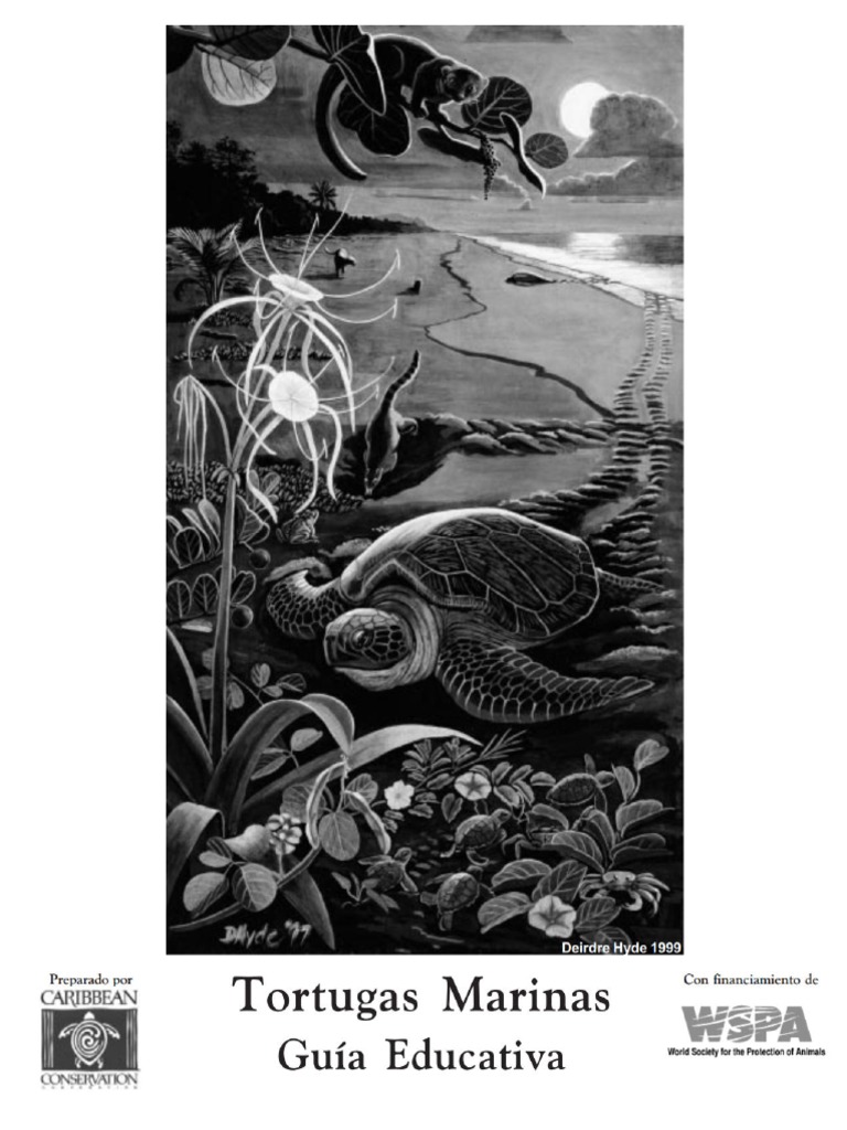 Guía Educativa sobre Tortugas Marinas | PDF | Tortuga marina