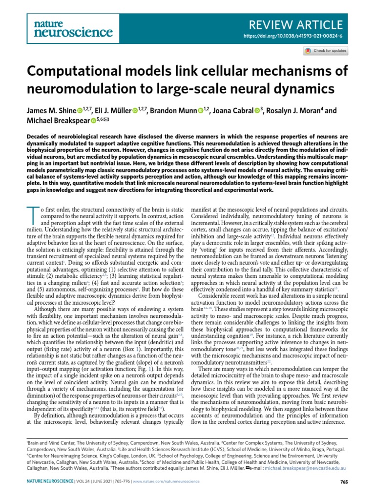 Computational Neuromodulation Large Scale Neural Dynamics Pdf Inhibitory Postsynaptic