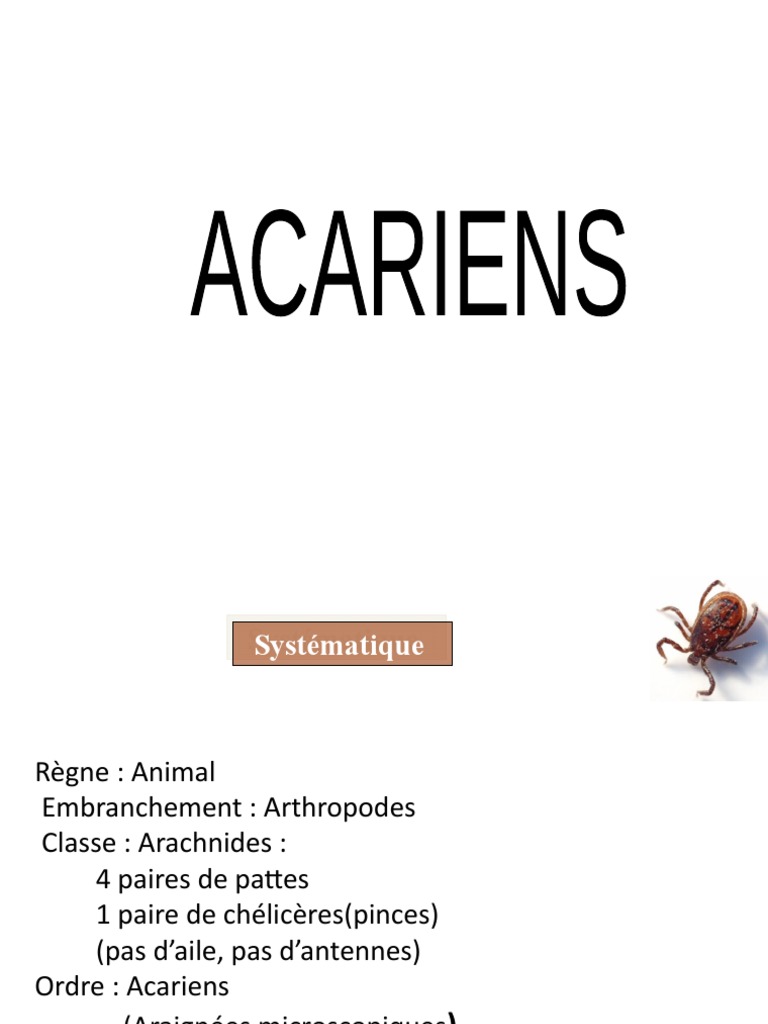 Acariens: Impact et Morphologie | PDF
