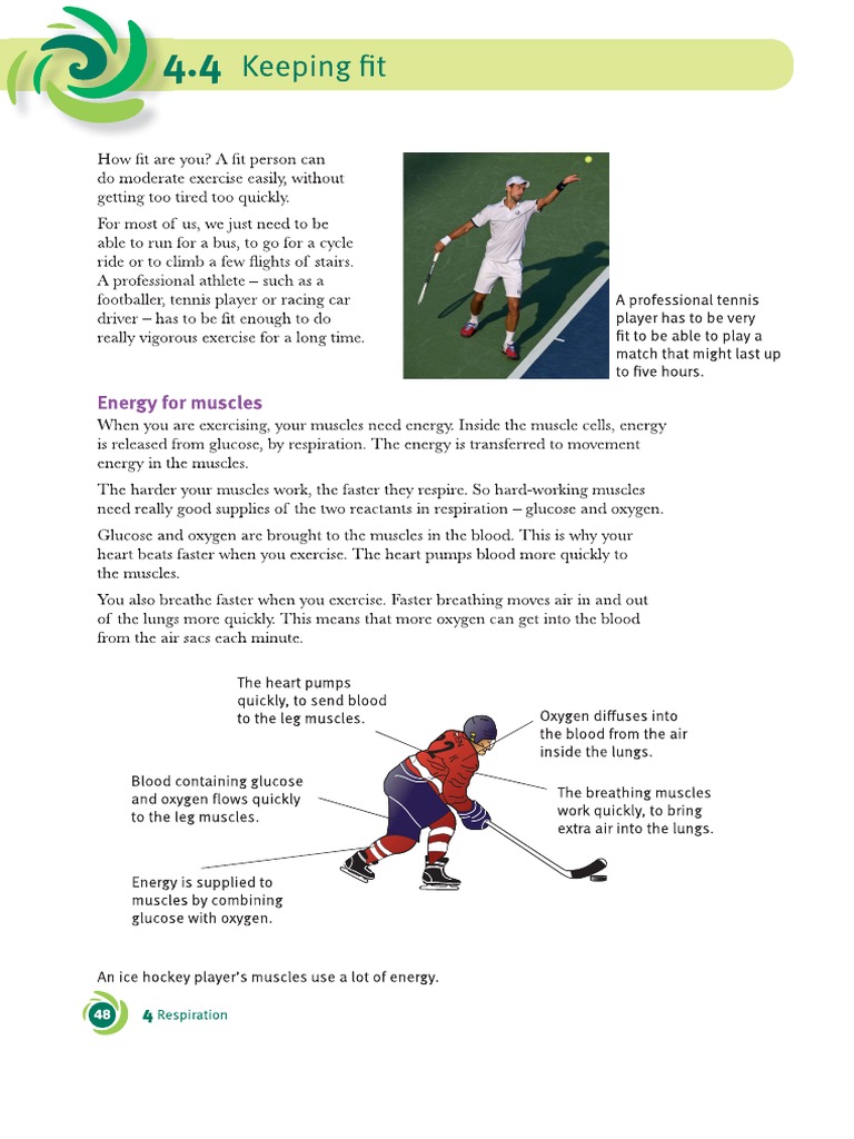 Keeping Fit Year 8 | PDF
