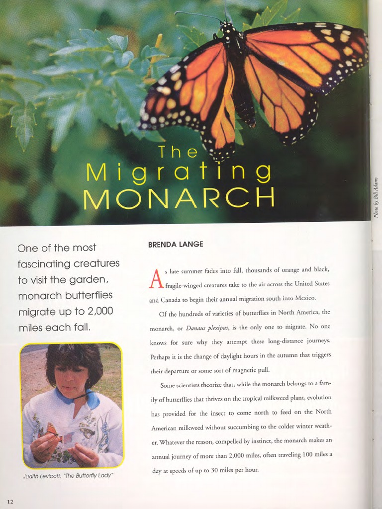BurpeeHomeGardener Migrating Monarch | PDF