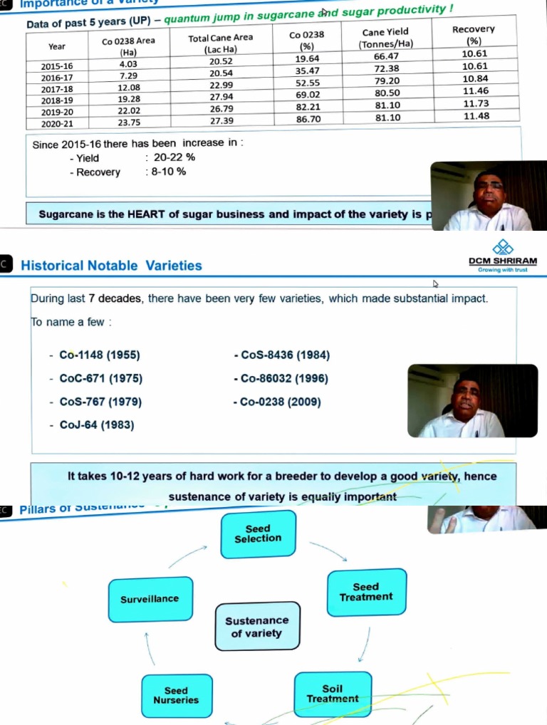 Cane Varieties | PDF