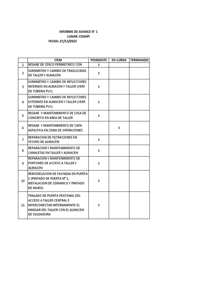 Informe 1 Cosapi | PDF