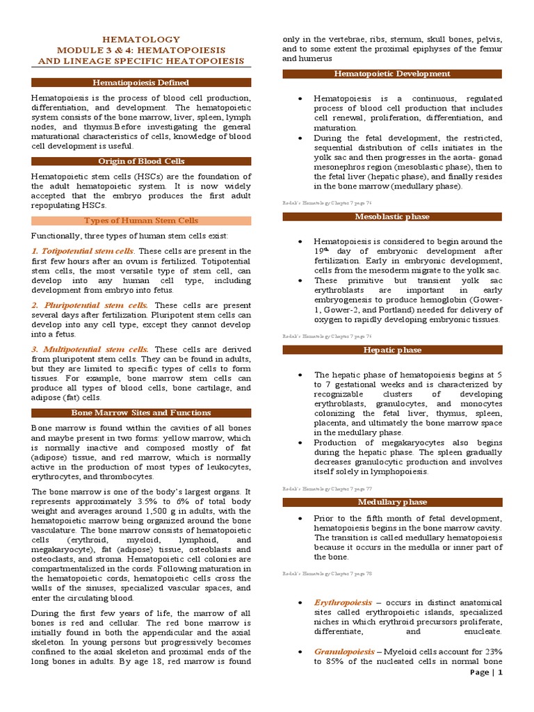 Hematopoiesis: Phases and Development | PDF | Granulocyte | Haematopoiesis