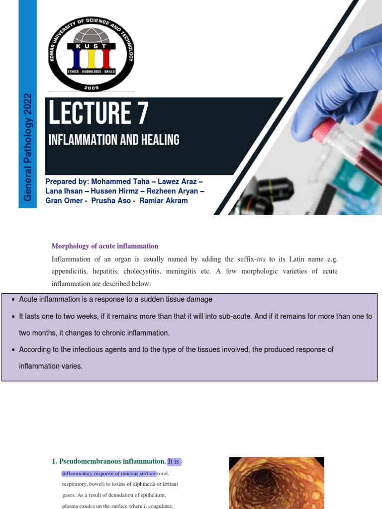 Pathology Lec 7 | Download Free PDF | Wound Healing | Inflammation