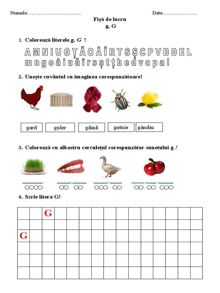 Sunetul Si Litera G | PDF