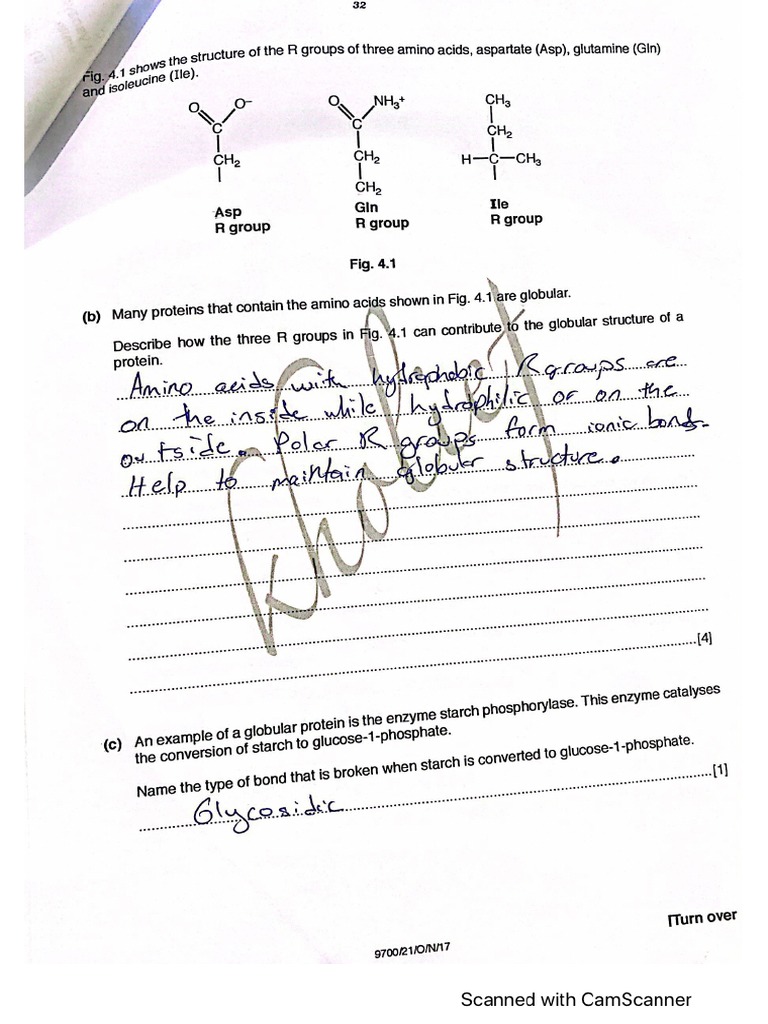 Kinan Shamma ch2 p2 | PDF