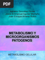 Preformismo y Epigénesis en Embriología | PDF | Anatomía | Science