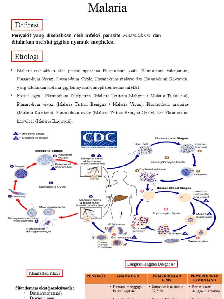 Malaria | PDF