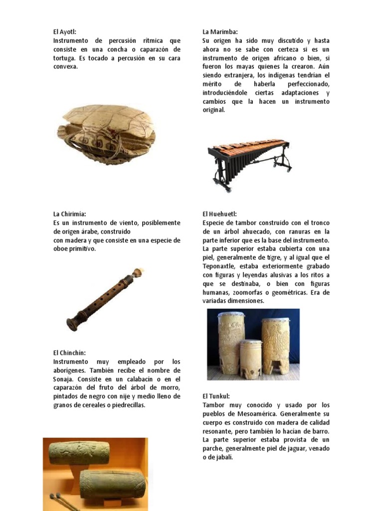 12 Instrumentos Autoctonos | PDF | Instrumentos musicales | Tecnología ...