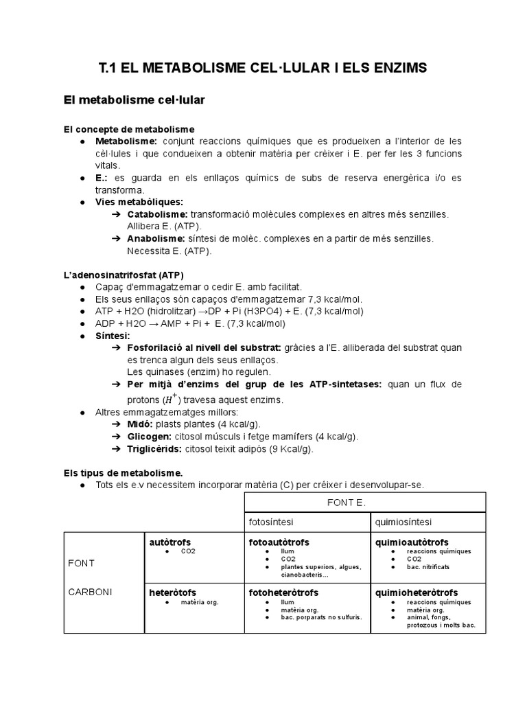 T1. El Metabolisme Cel Lular I Els Enzims (Bio) | PDF
