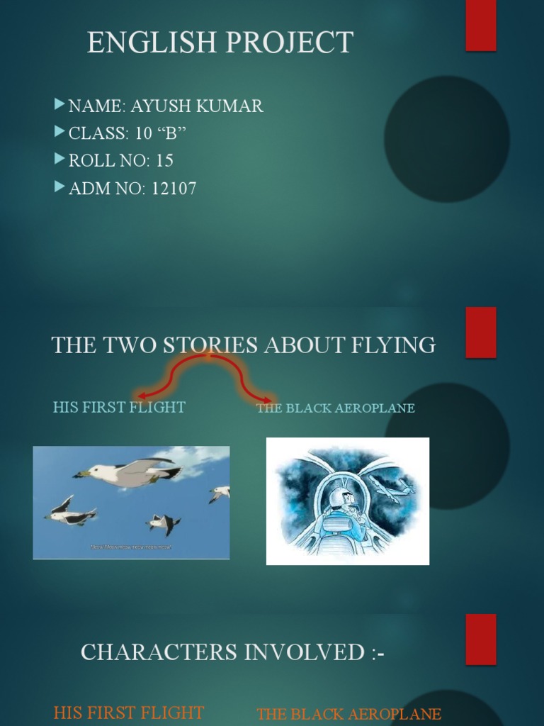 English Project - Final | PDF | Airplane | Flight
