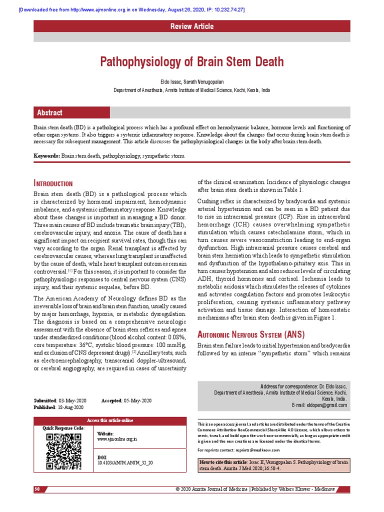 Pathophysiology of Brain Stem Death | PDF | Inflammation | Cytokine