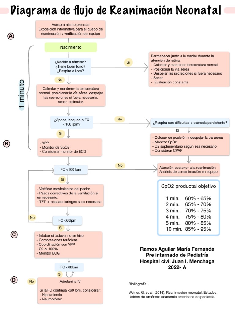 Esquema de Reanimación Neonatal | PDF | Reanimación cardiopulmonar ...