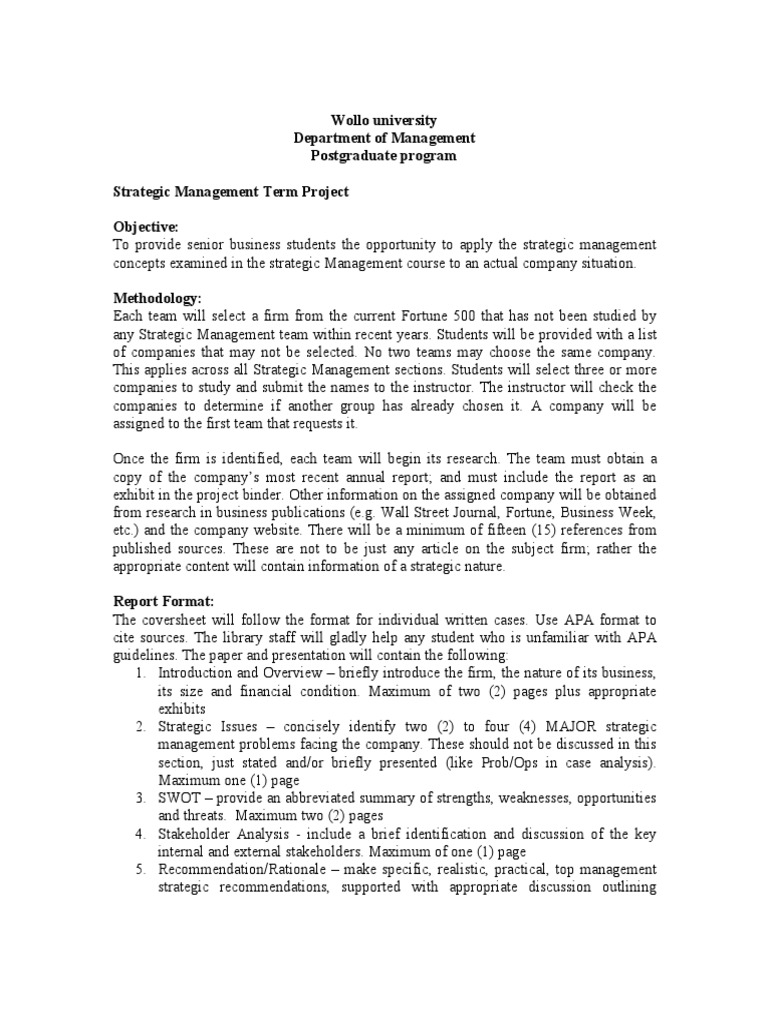 Strategic Management Term Project | Download Free PDF | Swot Analysis ...
