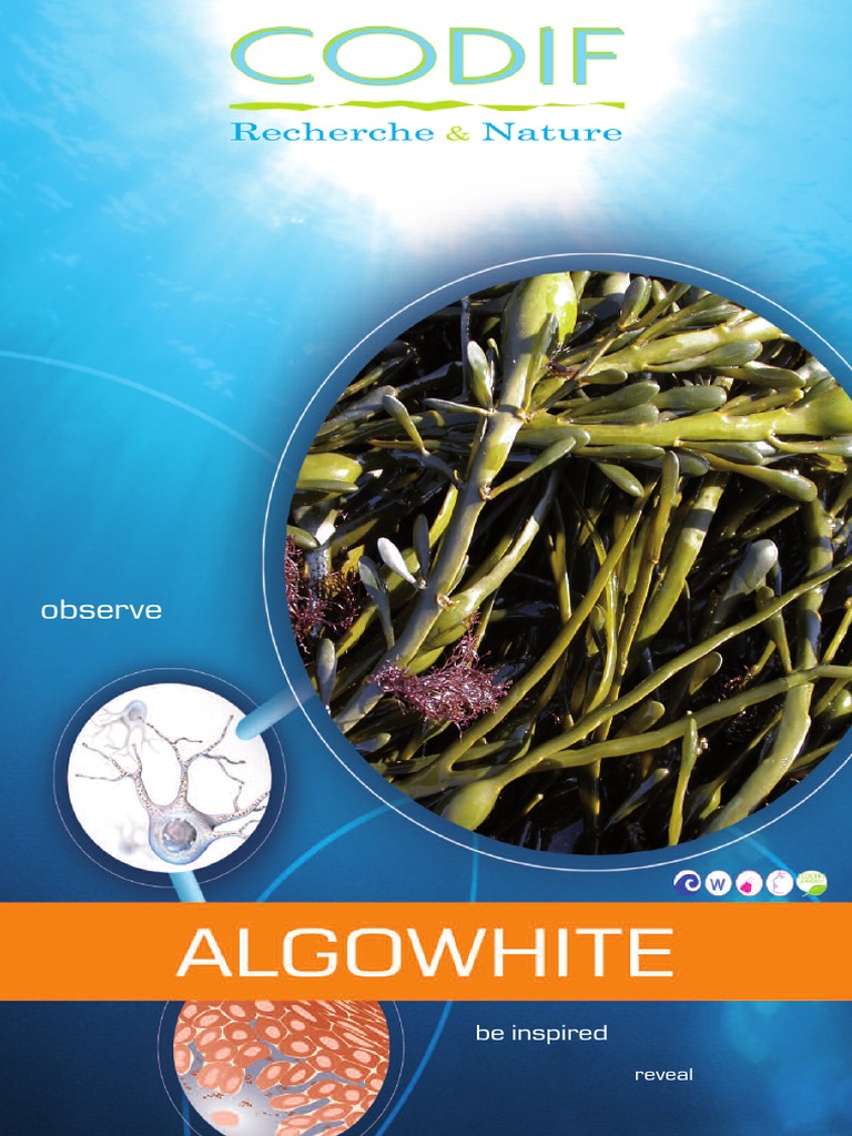 Literatura Algowhite (English) | PDF | Biomolecules | Endocrine System