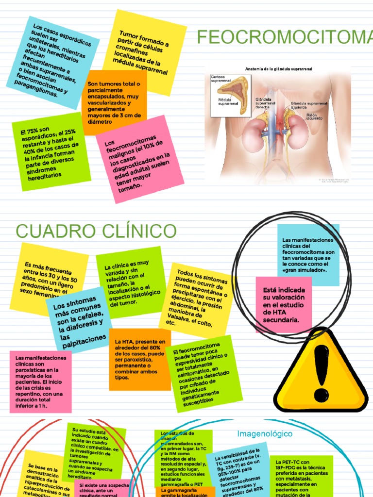 FEOCROMOCITOMA | PDF