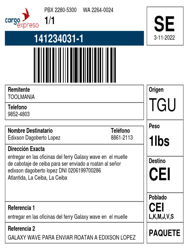 Guías - CARGO EXPRESO | PDF