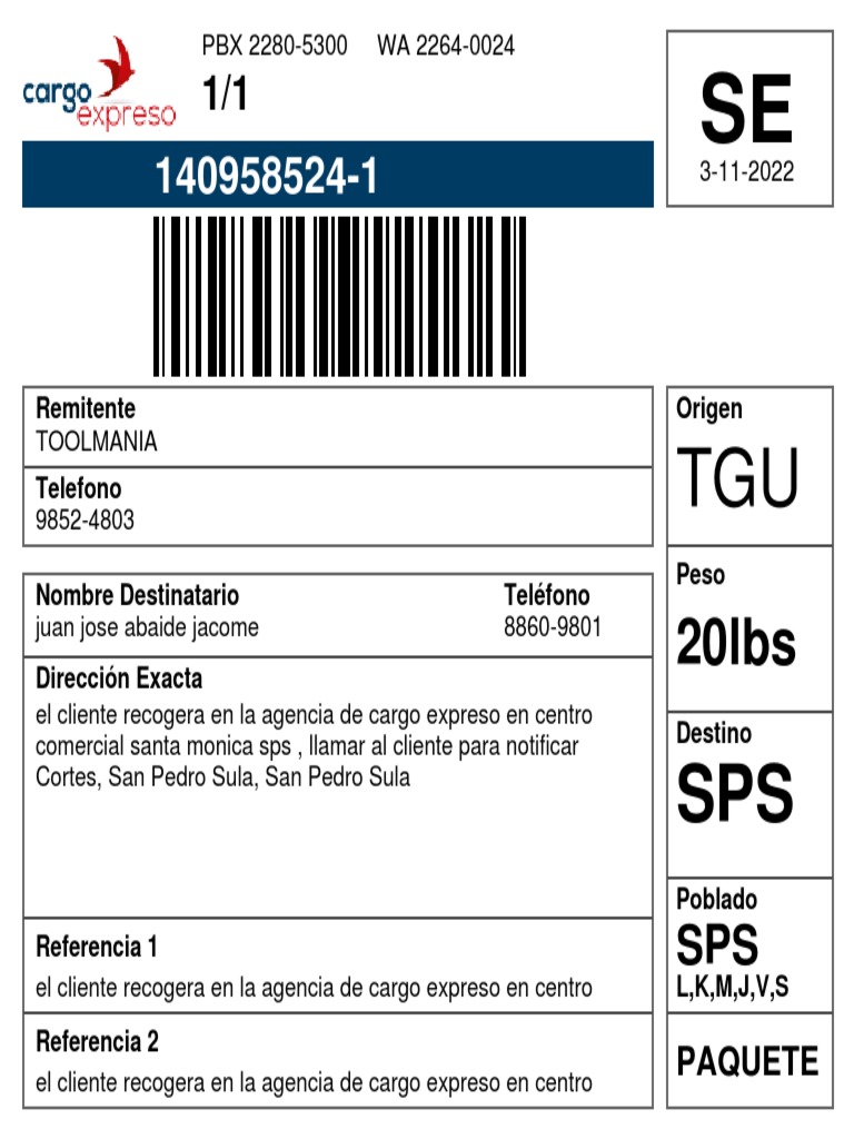 Guías - CARGO EXPRESO | PDF