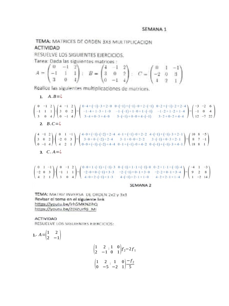 Multiplicación de Matrices | PDF