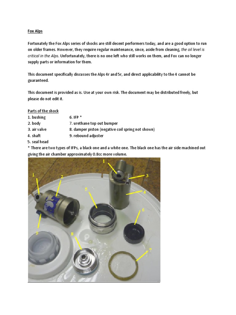 An In-Depth Guide to Maintaining and Rebuilding Fox Alps Shock ...
