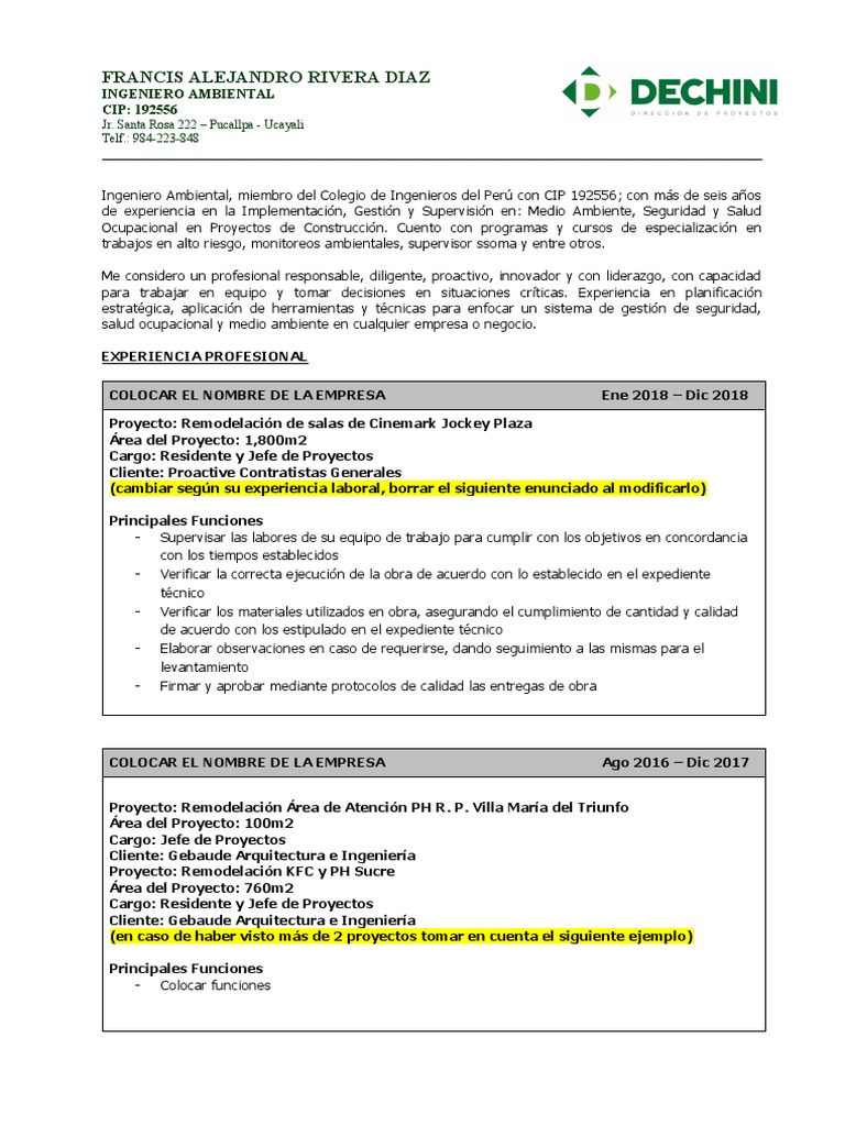 CV Dechini - Modelo | PDF | Business