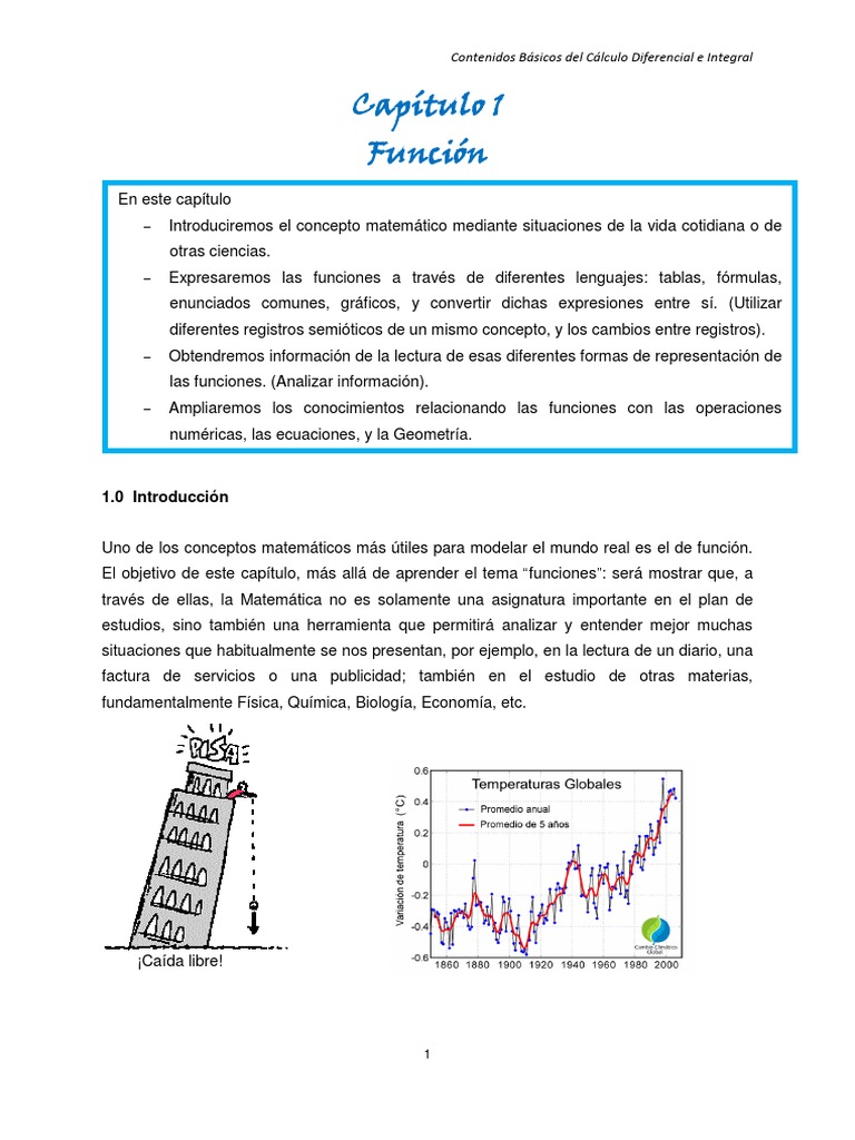 1 Funciones | PDF | Función (Matemáticas) | Integral