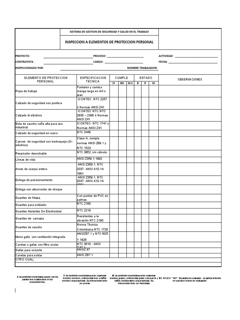 Inspeccion de EPP | PDF