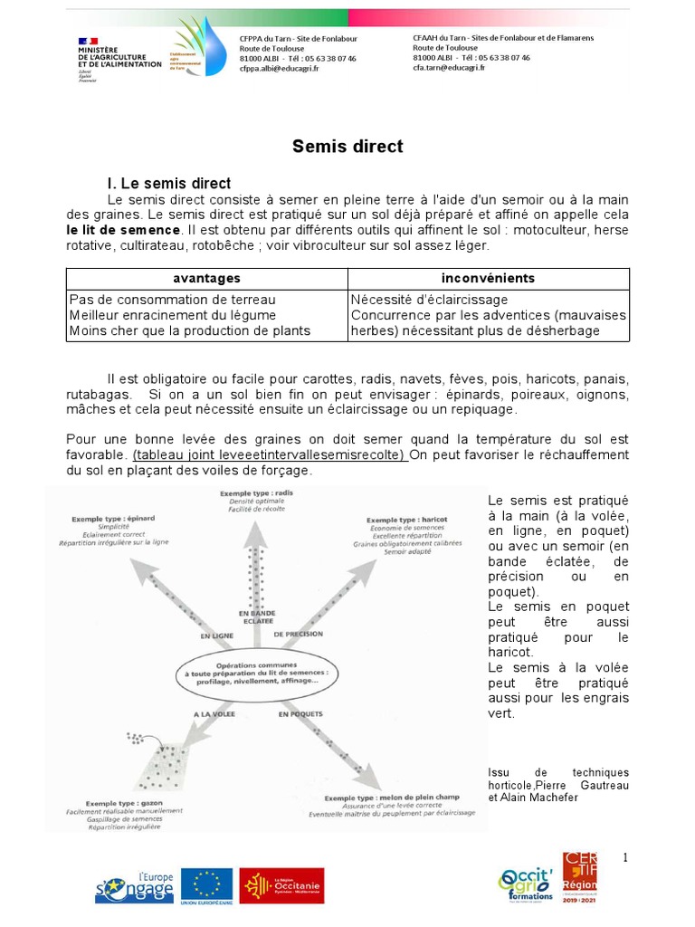 Guide complet du semis direct en jardinage | PDF | Semis | Phaseolus ...