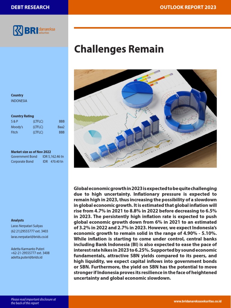 BRI Danareksa Sekuritas Outlook Report 2023 - Challenges Remain | PDF ...