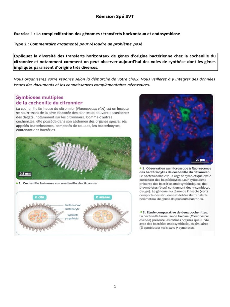 Révision SVT Exercice 1 | PDF