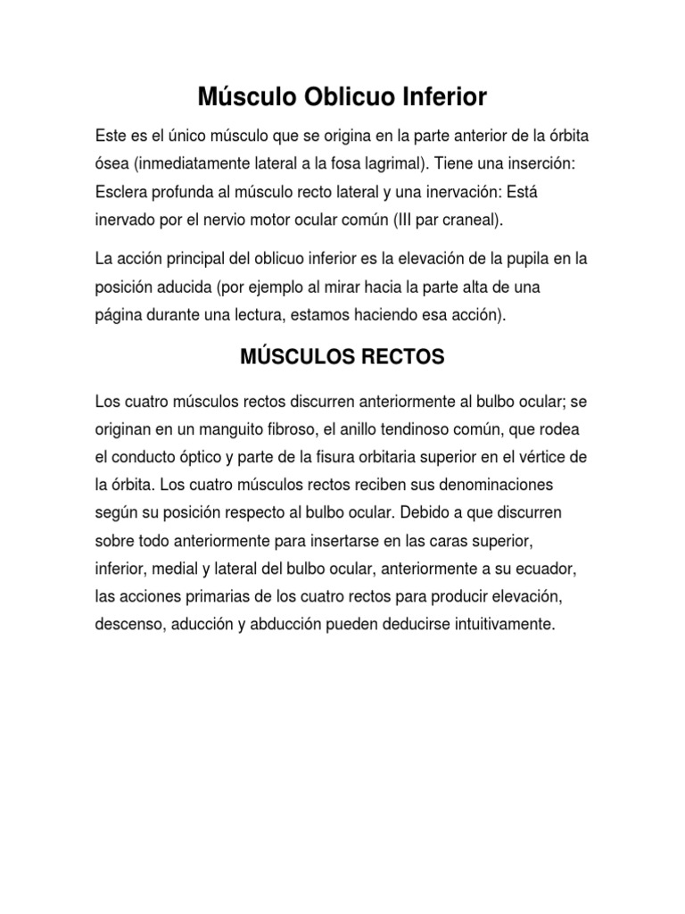 Músculo Oblicuo Inferior | PDF | Oftalmología | Sistema musculoesquelético