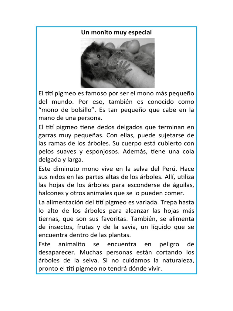 Un Monito Muy Especial | PDF