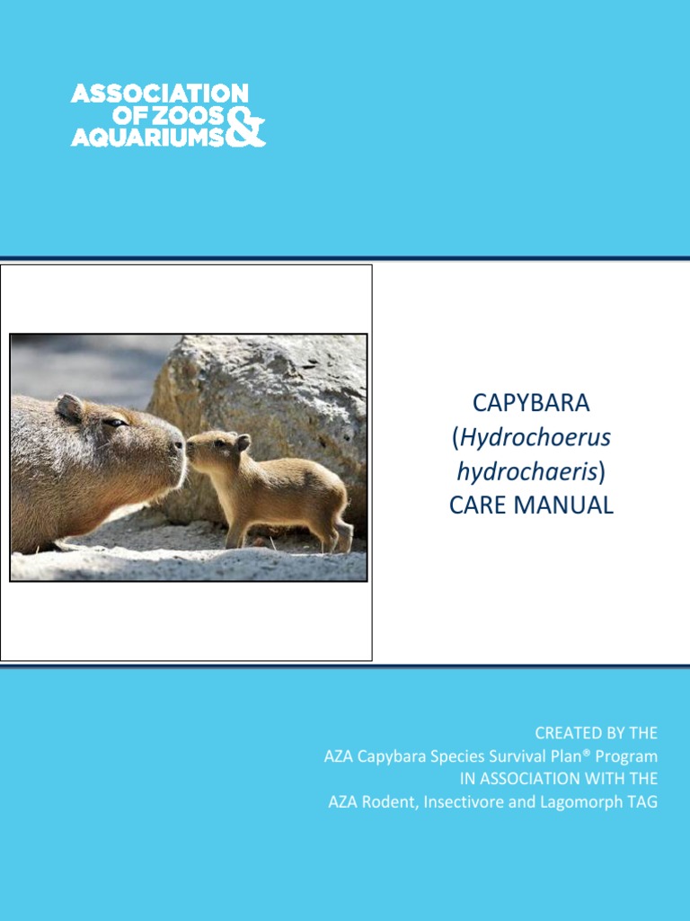 Capybara Care Manual 2021 | PDF | Zoo | Emergency