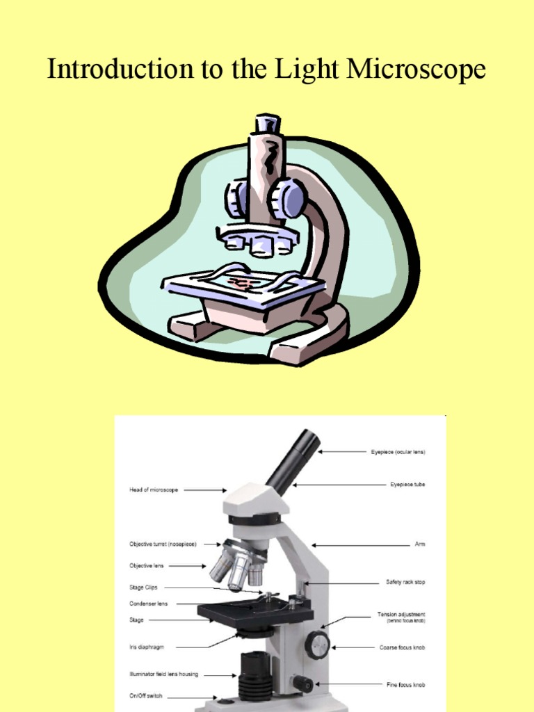 Grade 7 Microscope | Download Free PDF | Microscopy | Laboratory Equipment