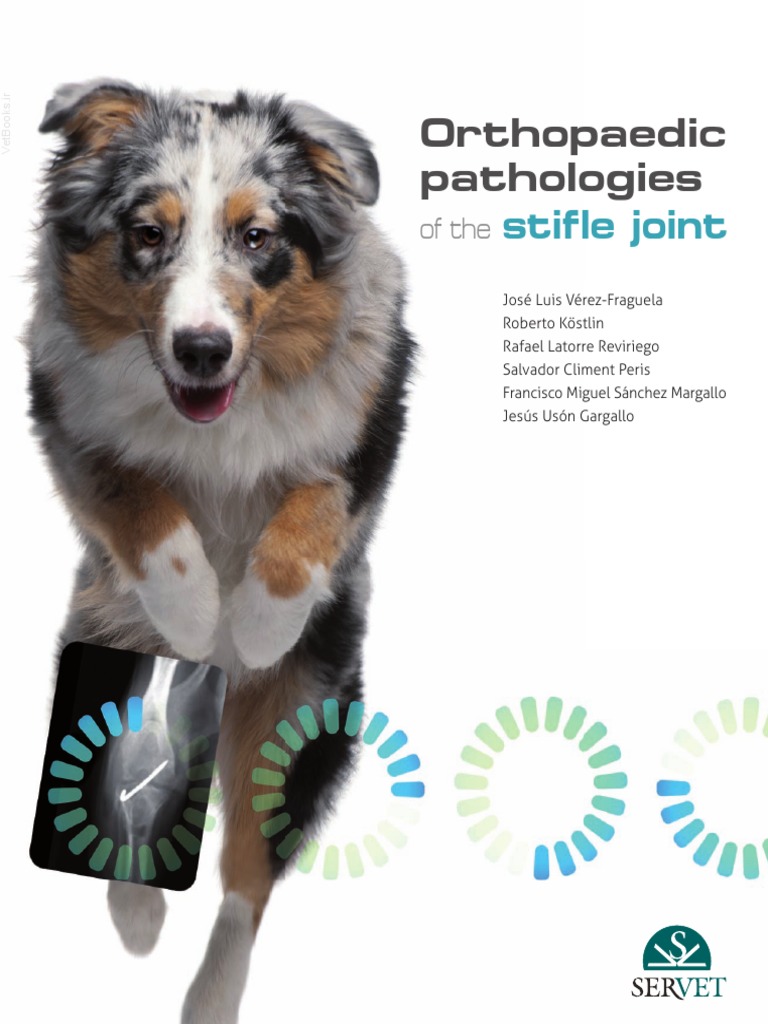 Orthopaedic Pathologies of The Stifle Joint (VetBooks - Ir) | PDF ...