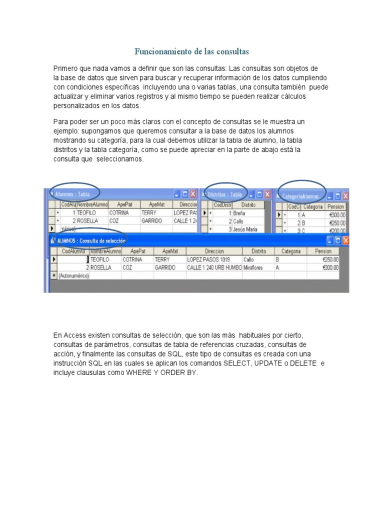 Definición y Funcionamiento de Consultas | PDF