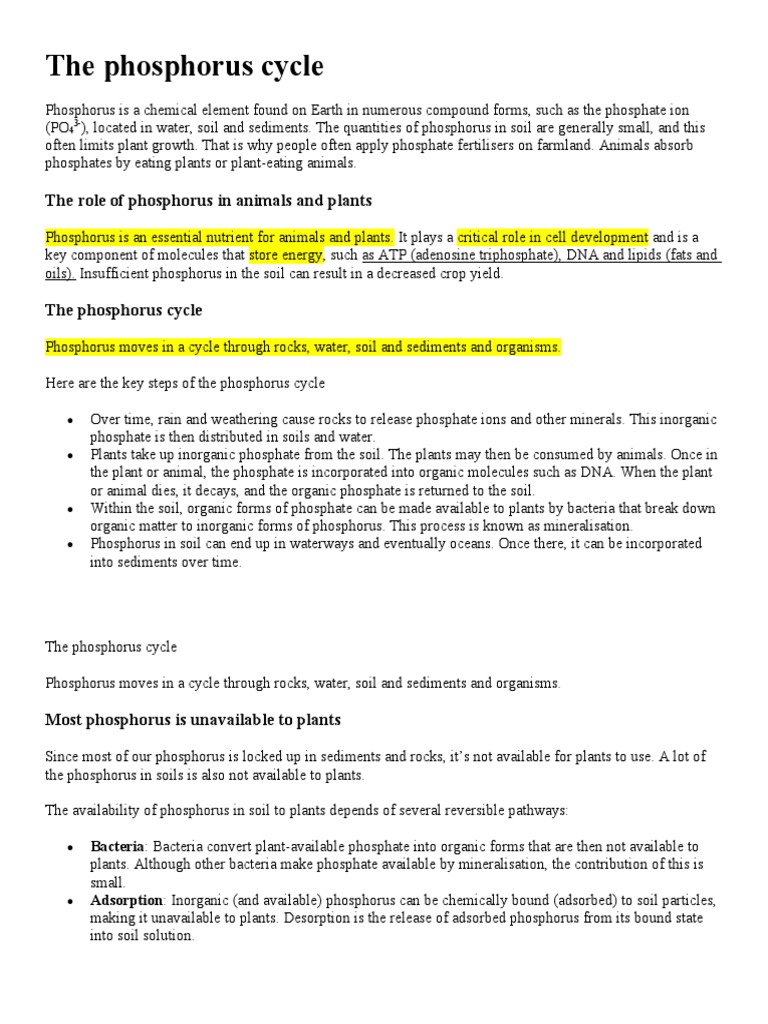 The Phosphorus Cycle: Understanding the Complex Pathways of an ...