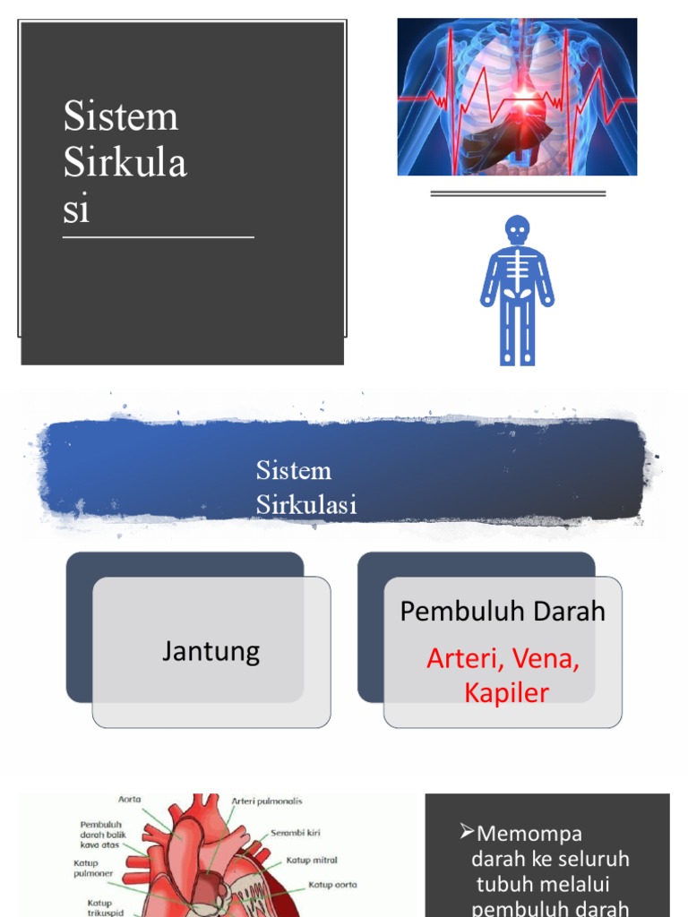 PPT - Sistem Sirkulasi | PDF