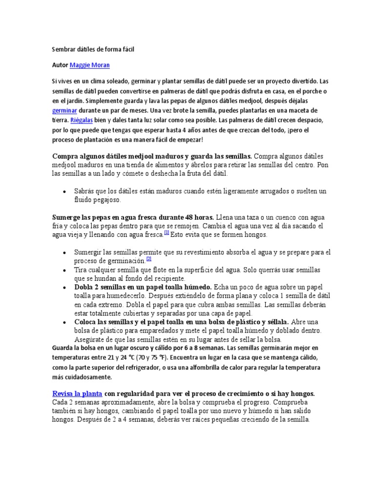 Cómo germinar y plantar semillas de dátil de forma fácil en casa | PDF ...