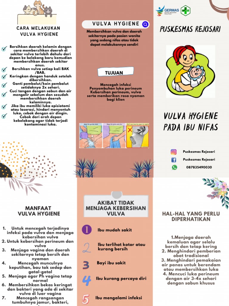Leaflet Vulva Hygiene | PDF
