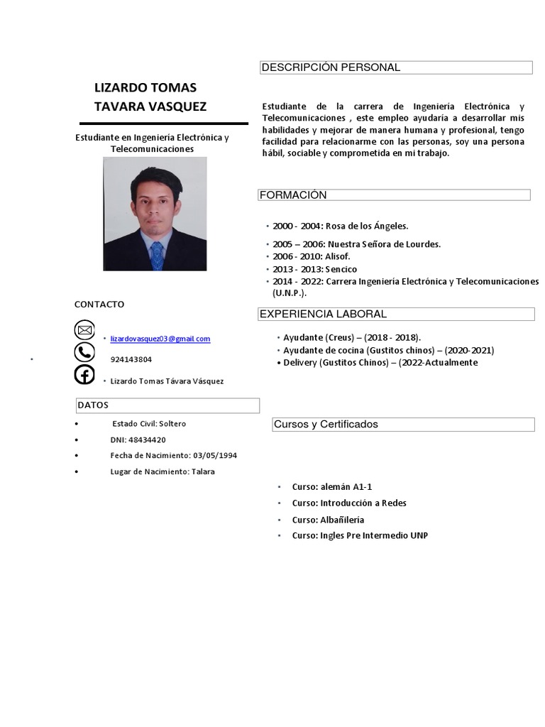 CV Lizardo Tomas Tavara Vasquez | PDF