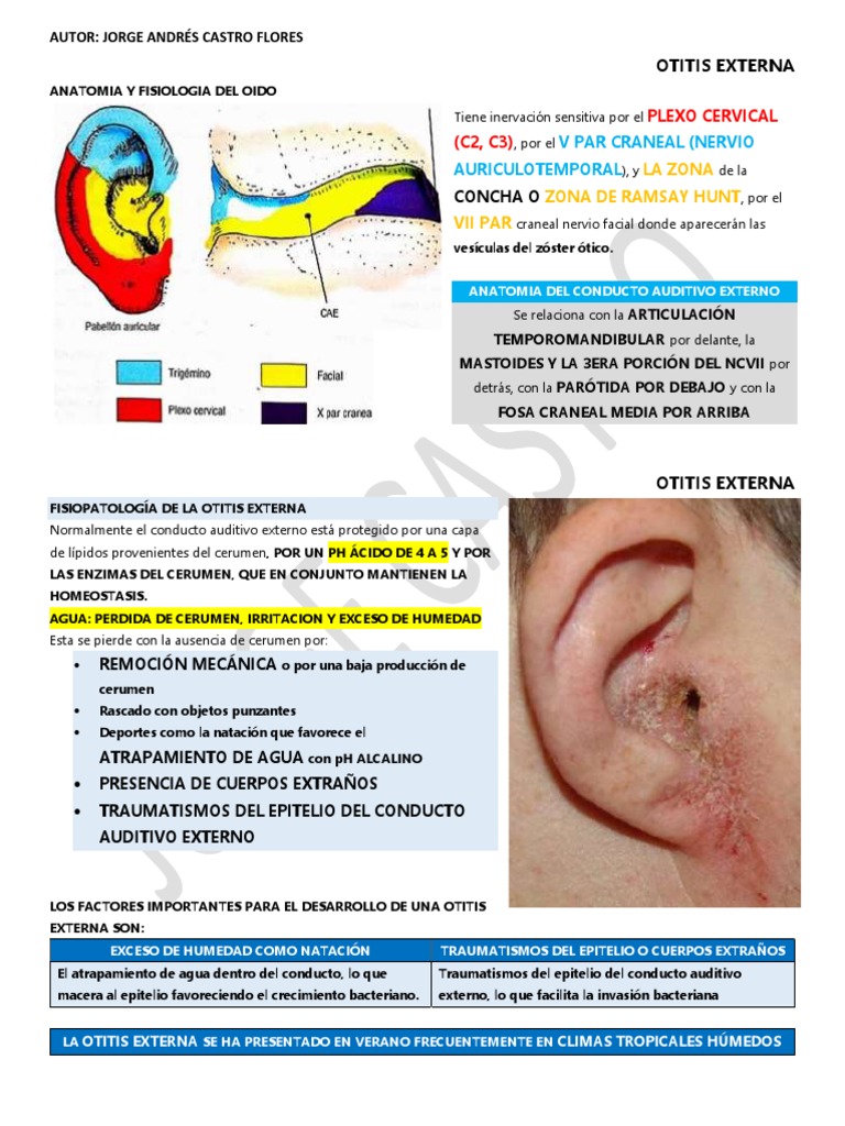 Autor: Jorge Andrés Castro Flores: La Zona Zona de Ramsay Hunt Vii Par ...