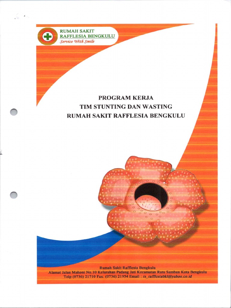 Program Kerja Tim Stunting | PDF