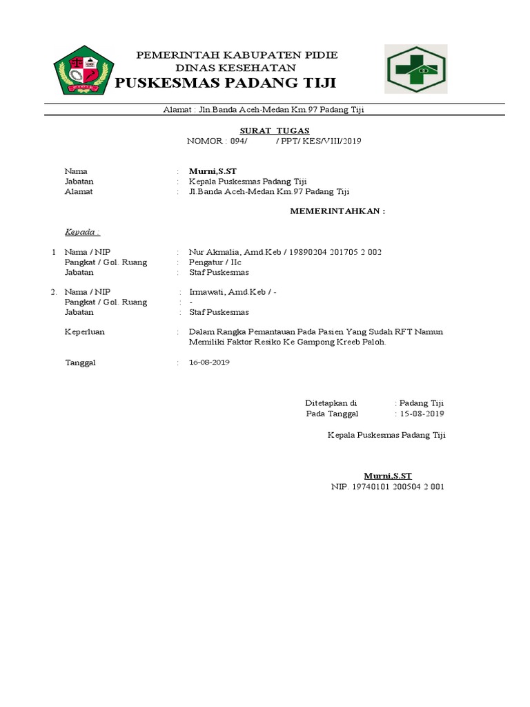 5 Surat Tugas SPPD TB | PDF