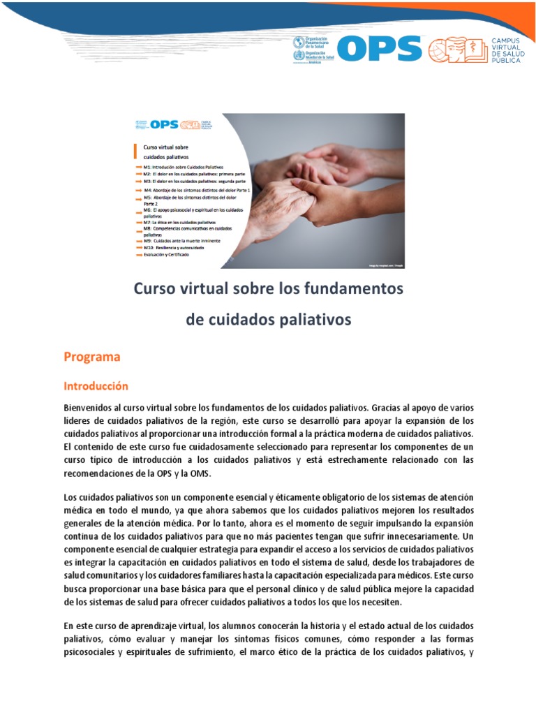 Programa Del Curso Cuidado Paliativo 2020-10-14 | PDF | Cuidados paliativos | Hospital