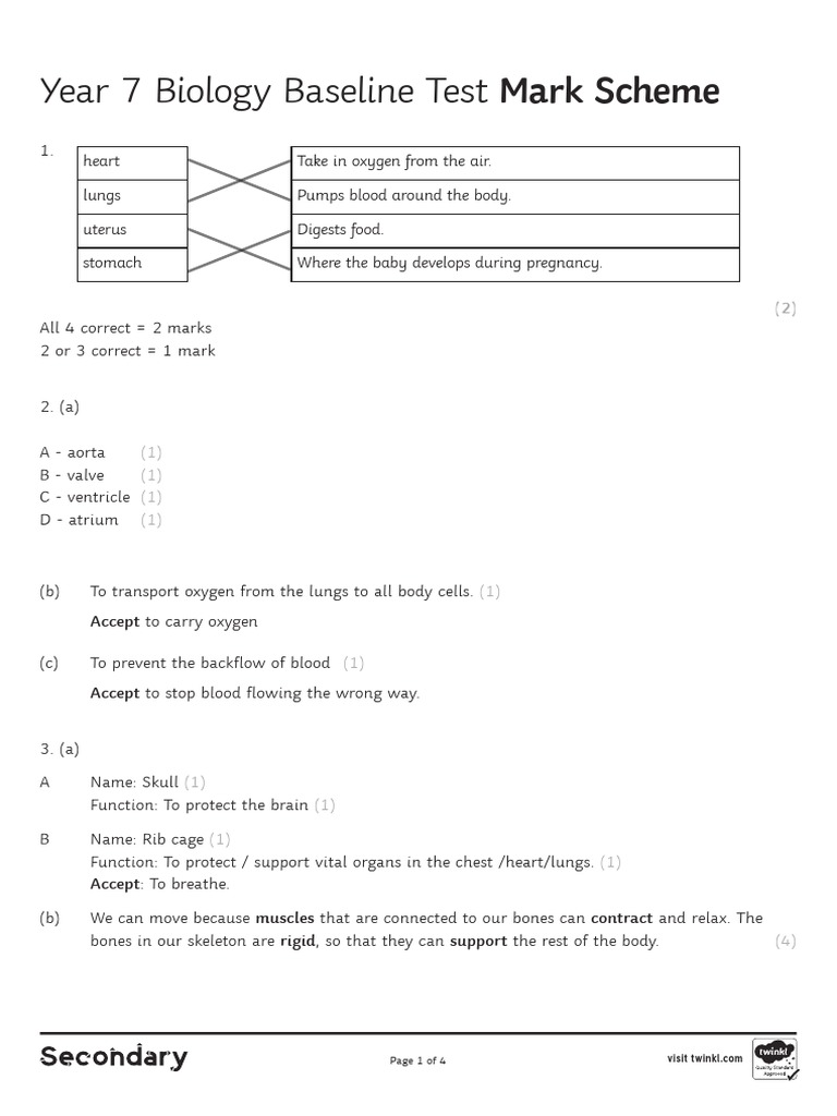 KS3 Biology Baseline Test - Mark Scheme | PDF | Human Body | Heart