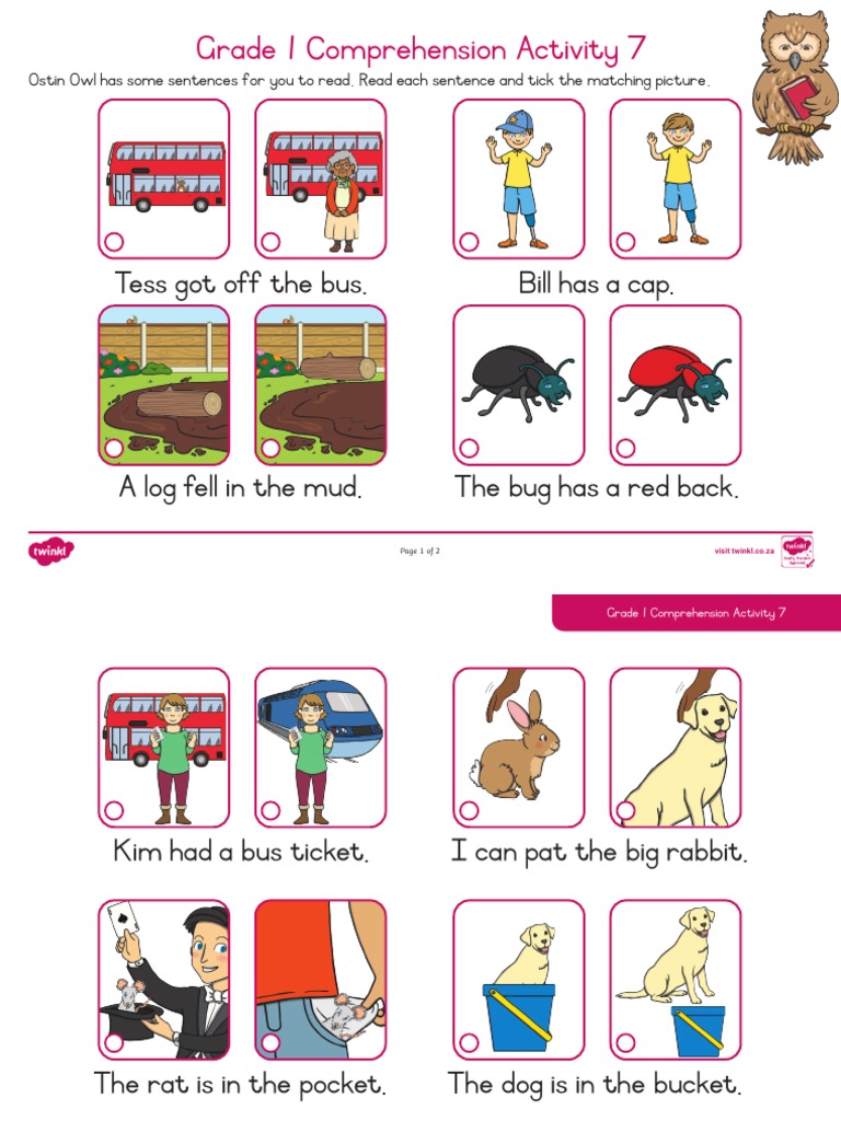 Grade 1 Comprehension Activity 7 | PDF